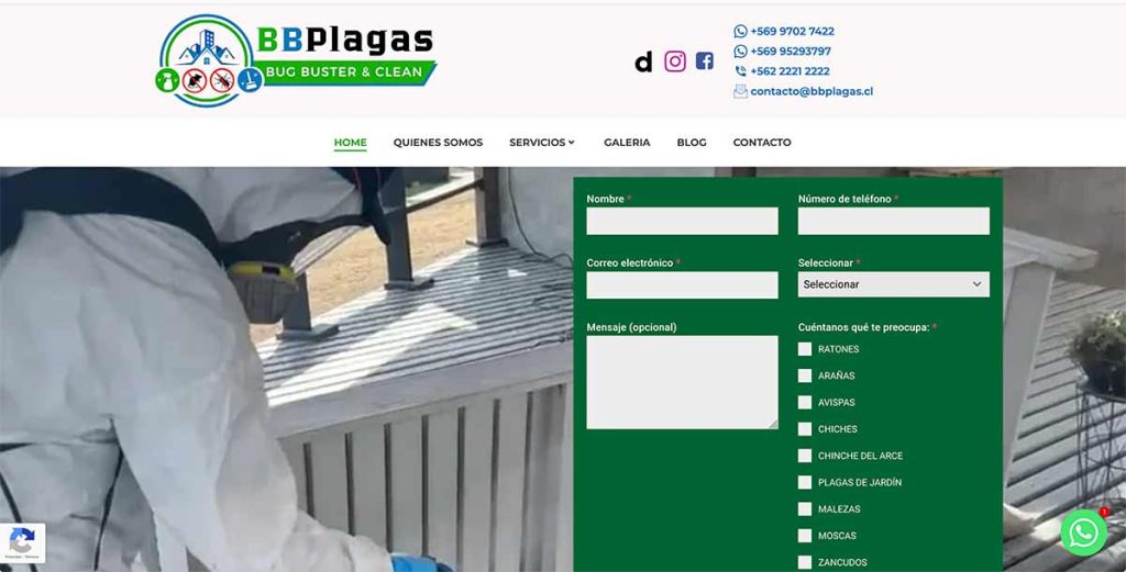 Control de chinches y control de avispas, por qué es necesario controlar estas plagas en Chile ...